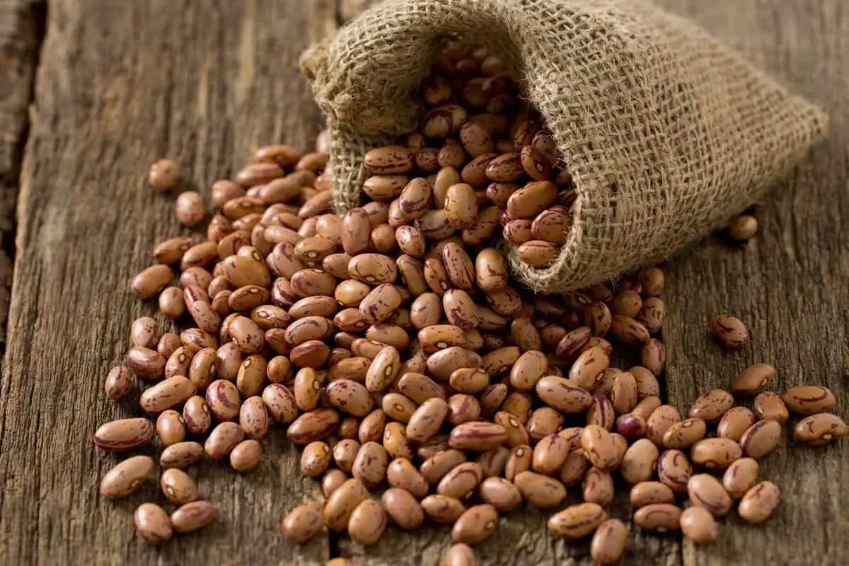 What Color Should Pinto Beans Be? – topfoodinfo.com