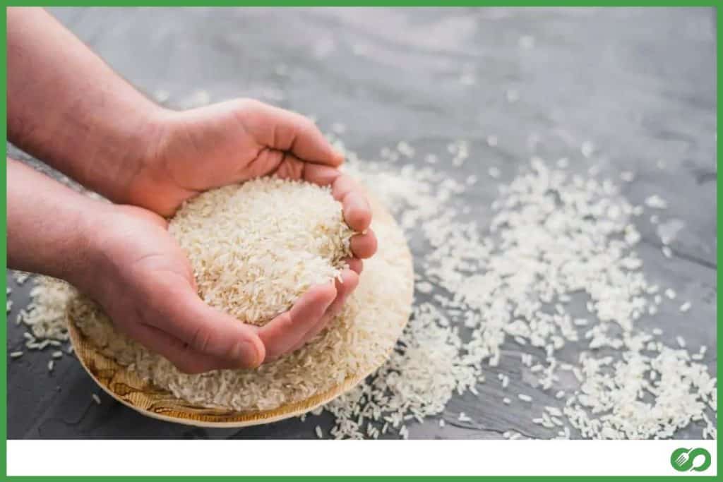 Can You Survive by Only Eating Rice? – topfoodinfo.com